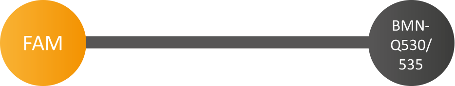 biomers.net | DoubleQuenched Probes - biomers.net Oligonucleotides